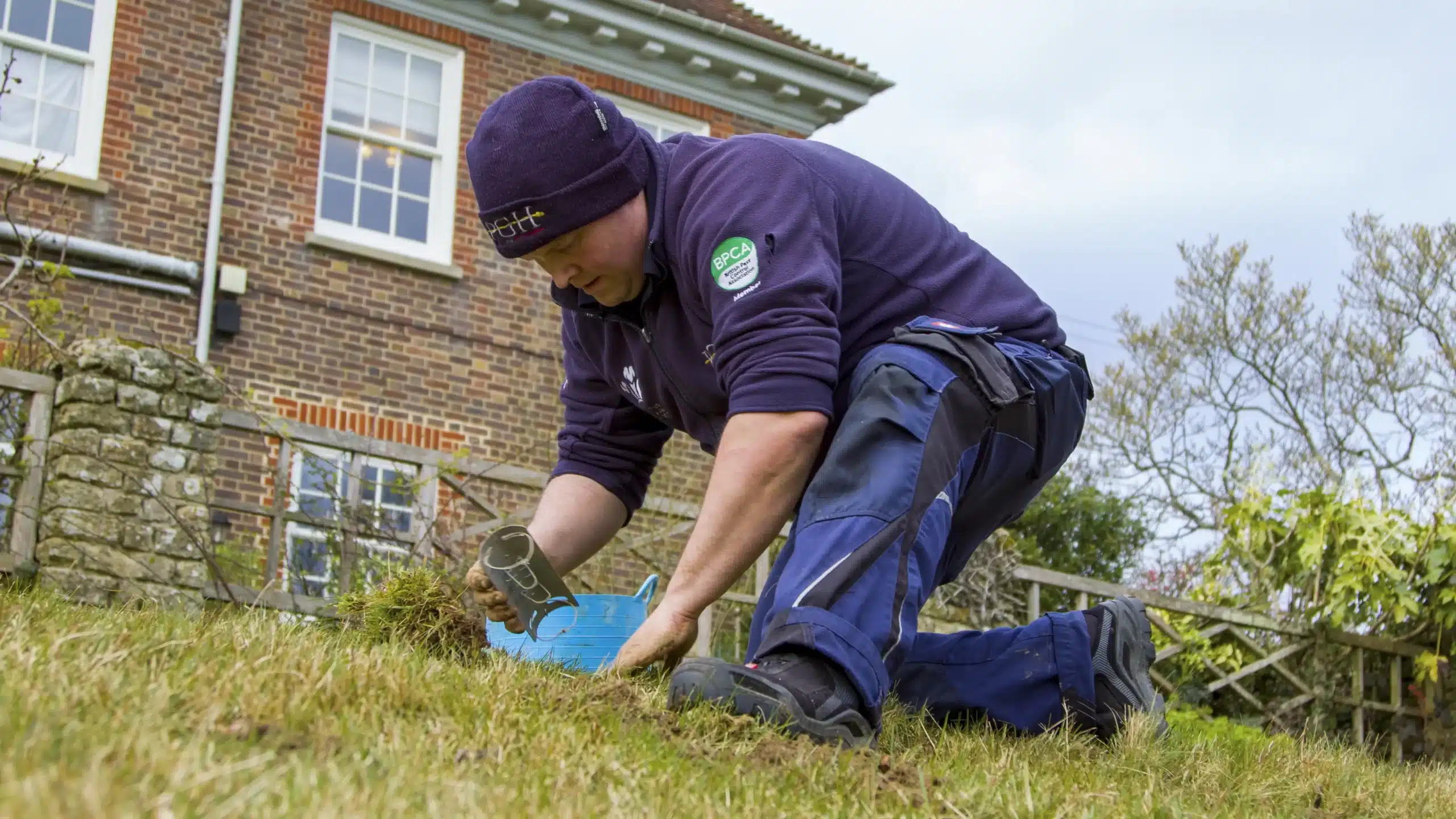 Moles | PGH Pest Control