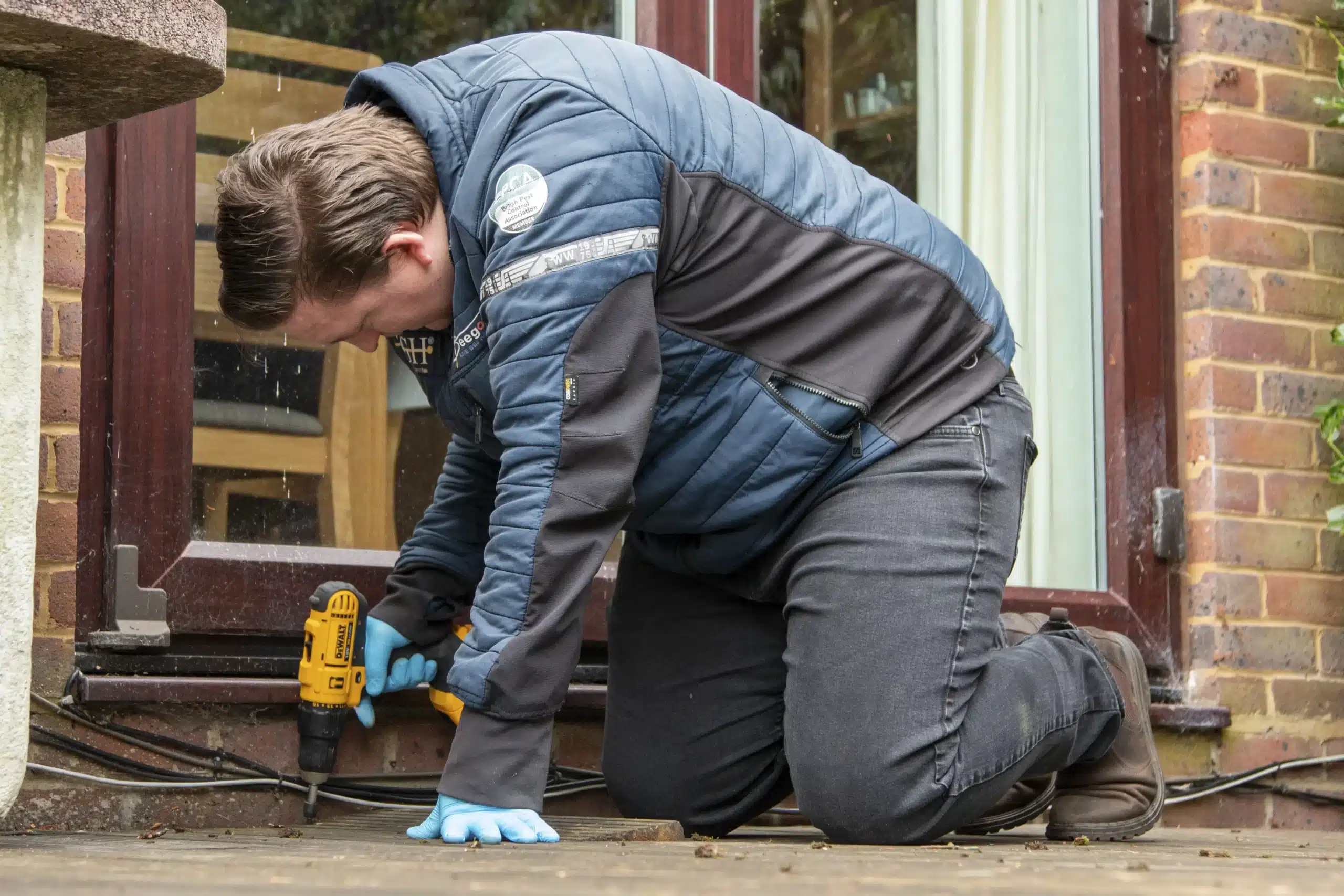 Squirrel | PGH Pest Control